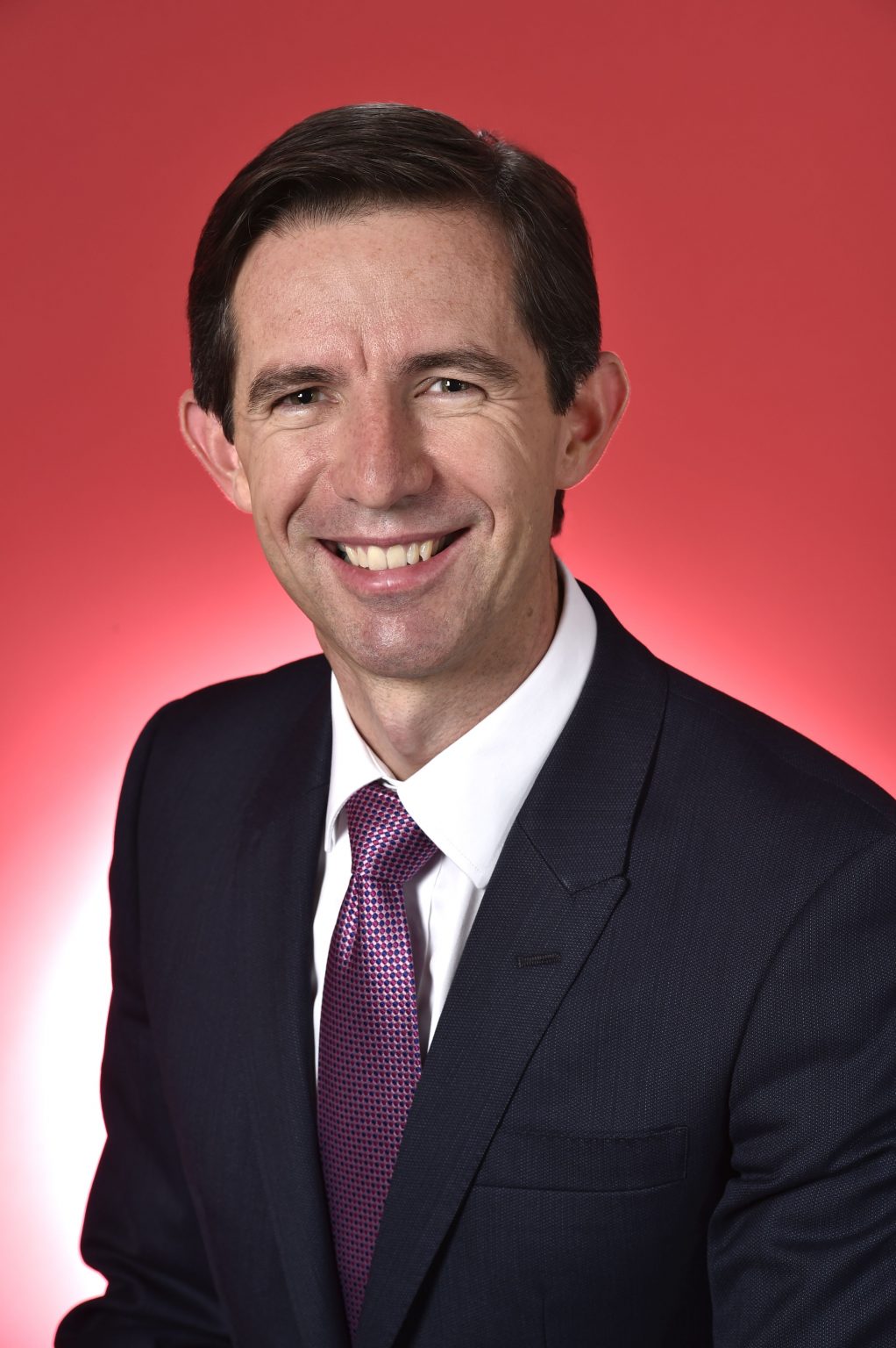 Simon Birmingham – Picturing Democracy